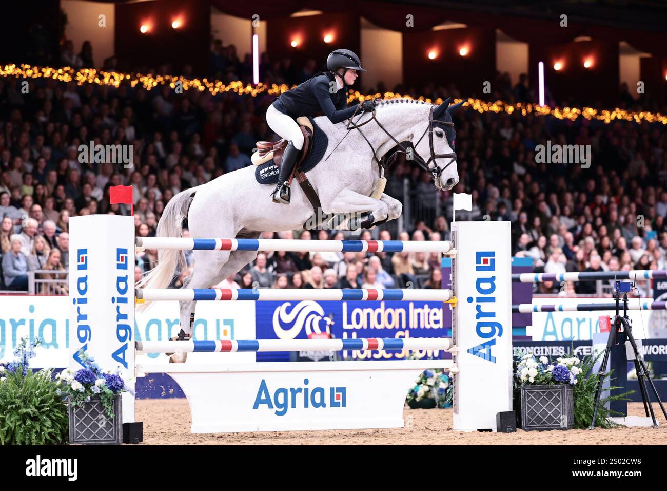 Sophie Hinners of Germany with Iron Dames my Prins during jump-off of ...