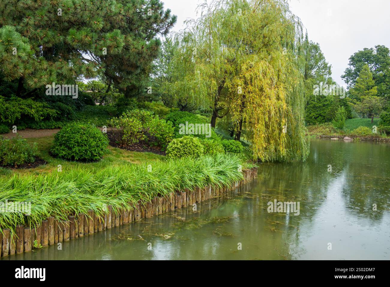 Willow Lined Path in Elizabeth Hubert Malott Japanese Garden at Chicago ...