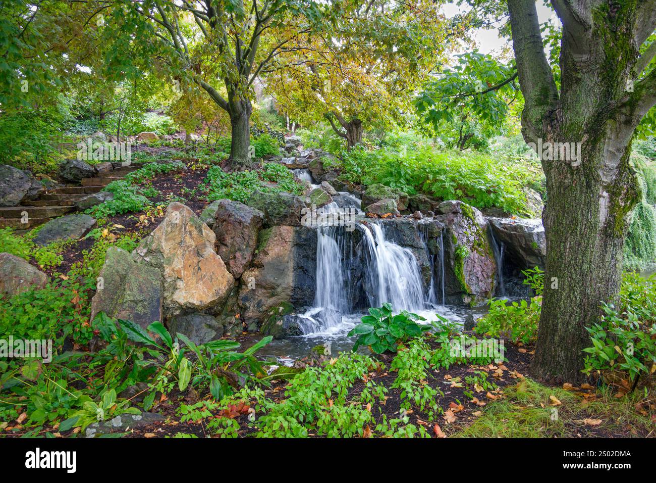 Waterfall in Elizabeth Hubert Malott Japanese Garden at Chicago Botanic ...