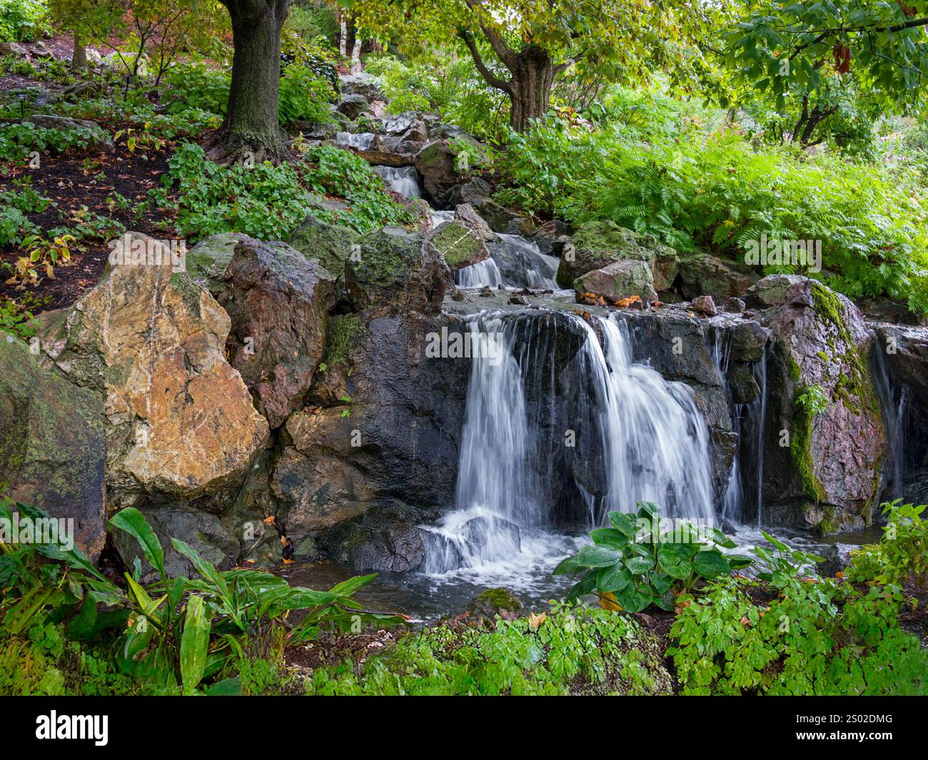 Waterfall in Elizabeth Hubert Malott Japanese Garden at Chicago Botanic ...