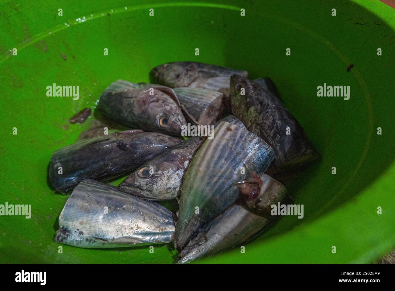 pieces of fish meat that are being seasoned in a container Stock Photo ...