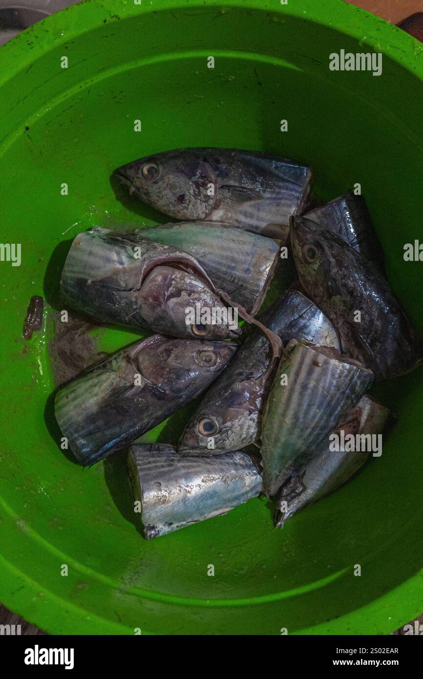 pieces of fish meat that are being seasoned in a container Stock Photo ...