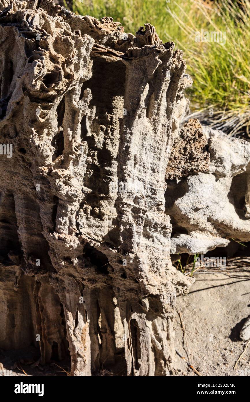 A large rock with a lot of holes and cracks. The cracks are deep and ...