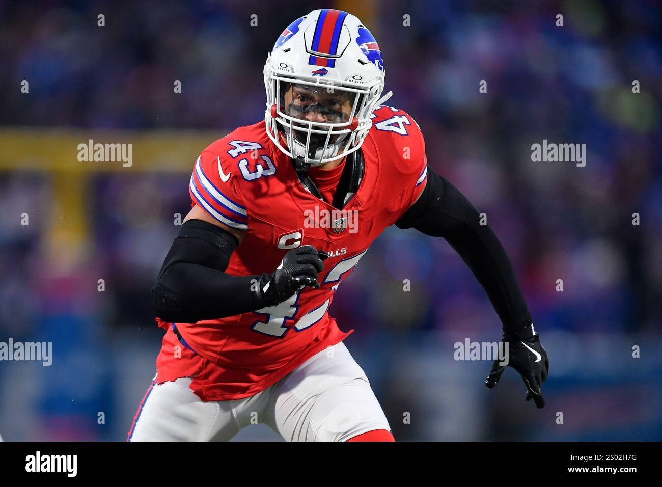 Buffalo Bills linebacker Terrel Bernard (43) runs on the field during ...