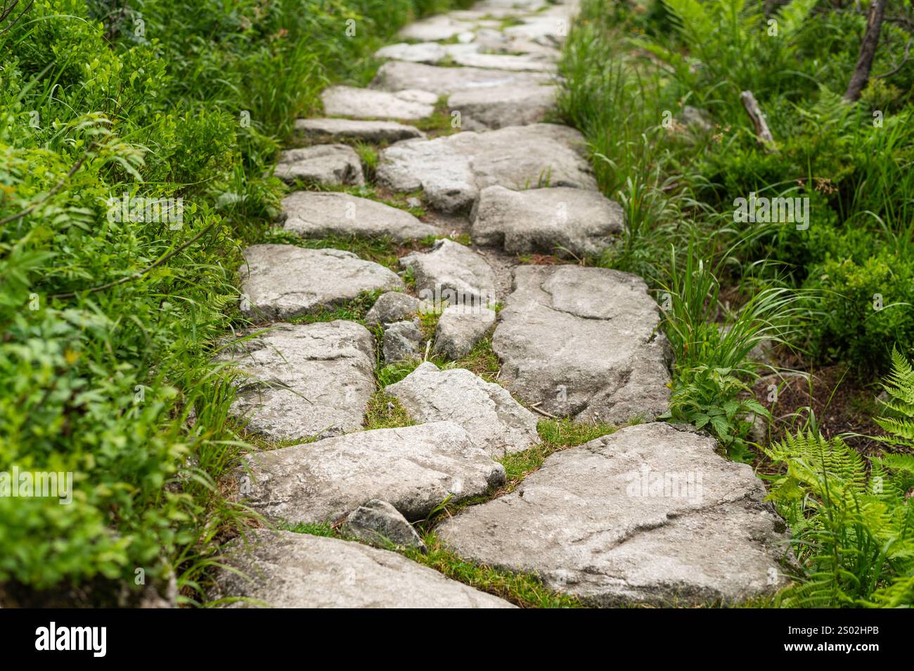 A path is paved with large stones of different shapes Stock Photo - Alamy
