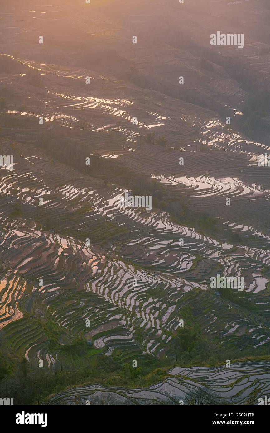 Paddy fields, Rice terraces. In Yunnan province China. Bada rice ...