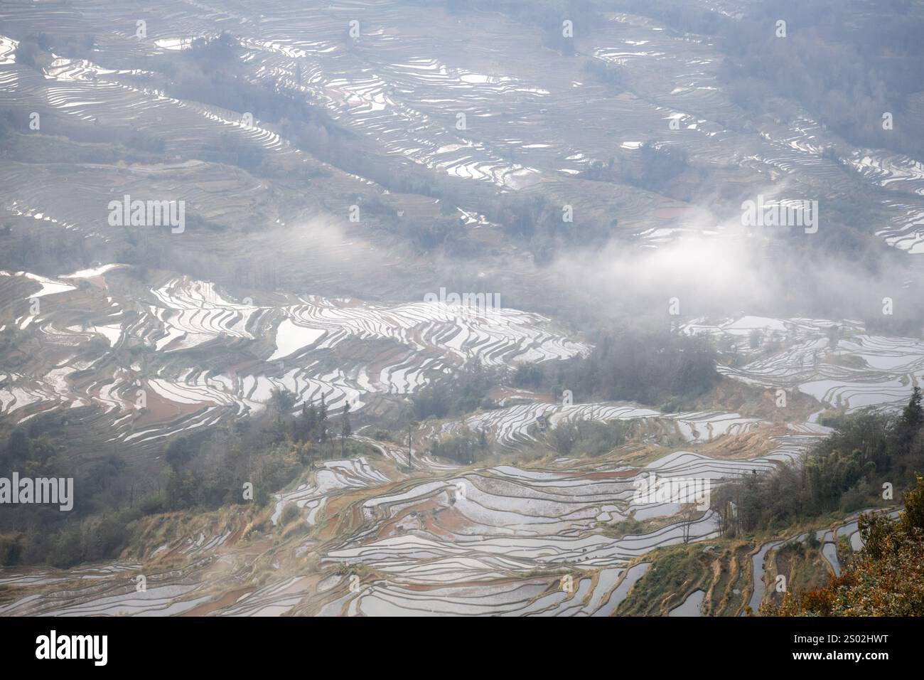The clouds at YuanYang rice terraces during the sunset, Yunnan, China ...