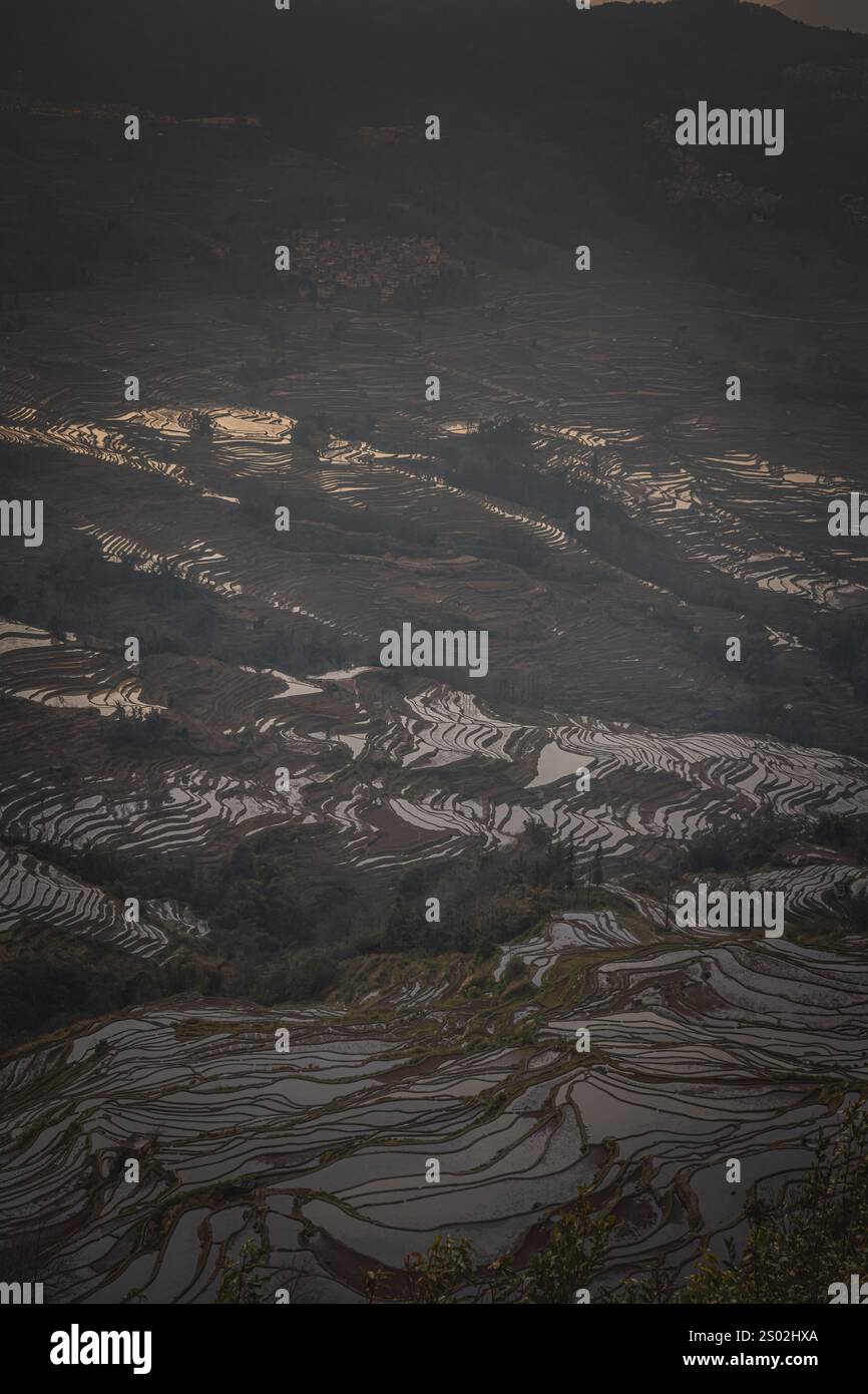 Vertical Close up on Bada rice terraces in Yunnan, China. Background ...
