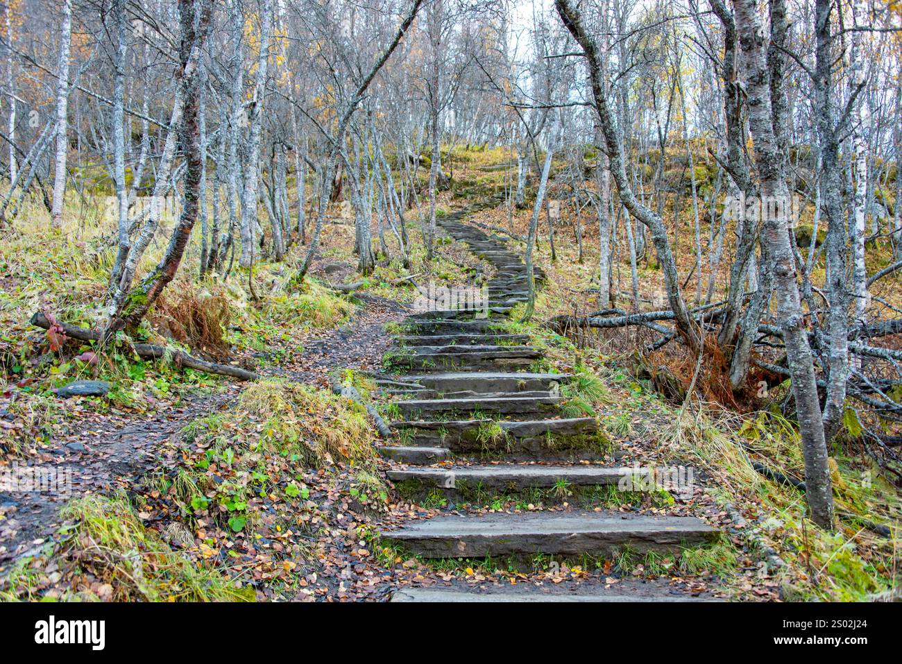 Sherpa Stairs in Tromso - Norway Stock Photo - Alamy