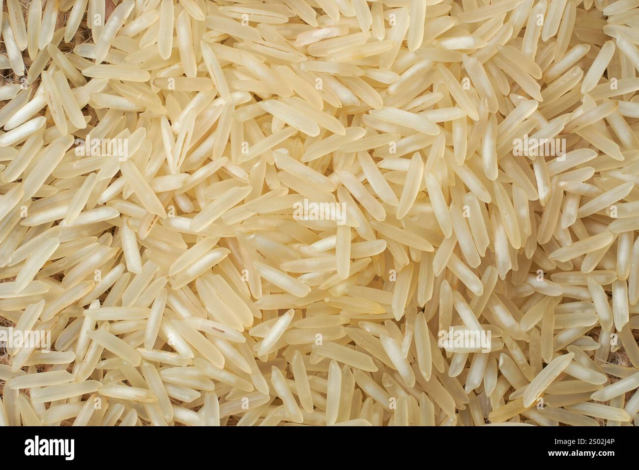 close-up macro view of raw basmati rice grains, pile of creamy white ...
