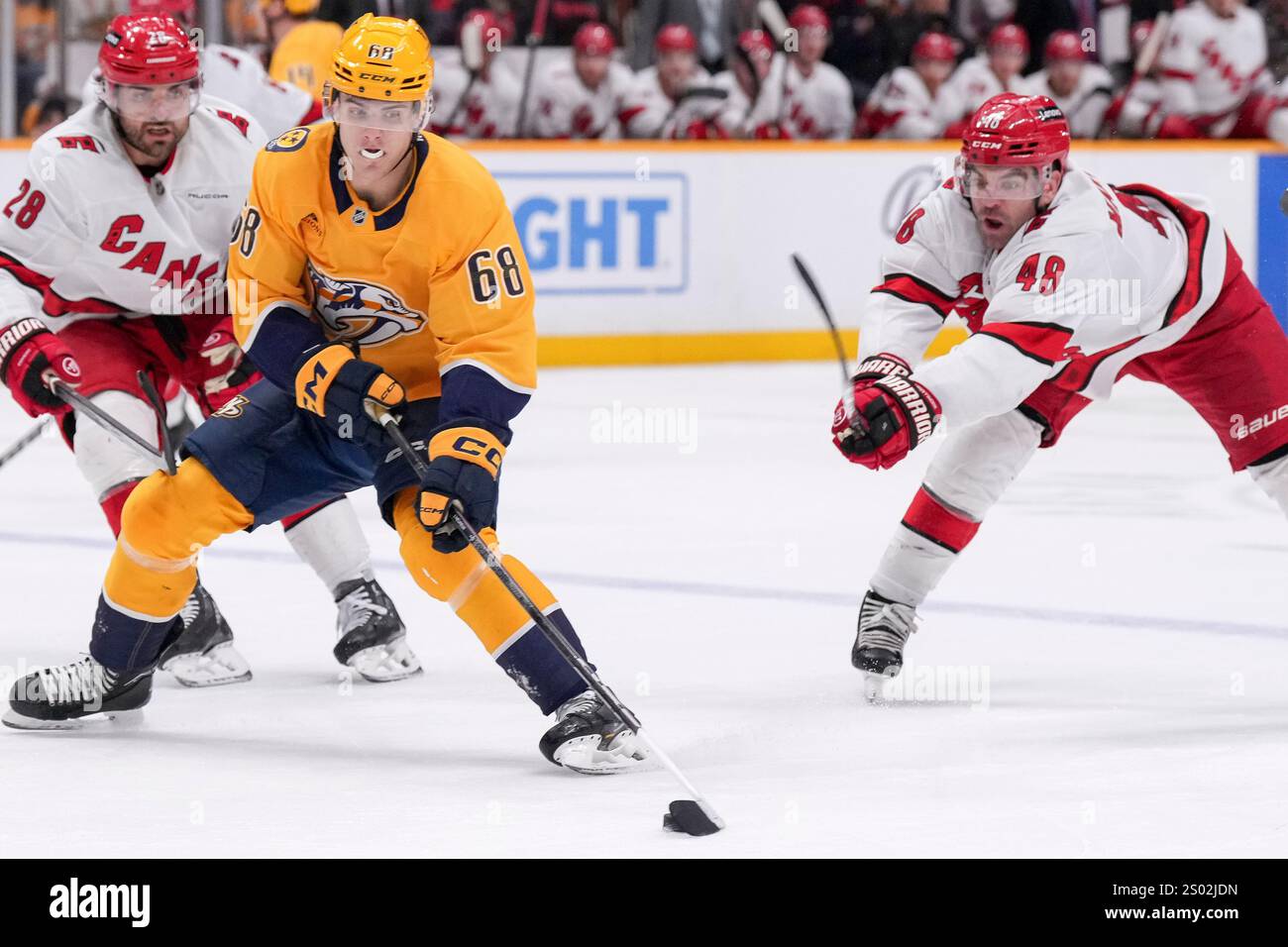 Nashville Predators left wing Zachary L'Heureux (68) skates the puck ...