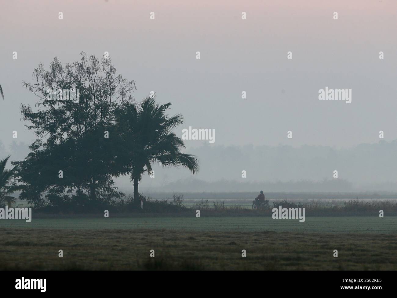 Nakhon Sawan, Thailand. 24th Dec, 2024. A villager rides a bicycle ...