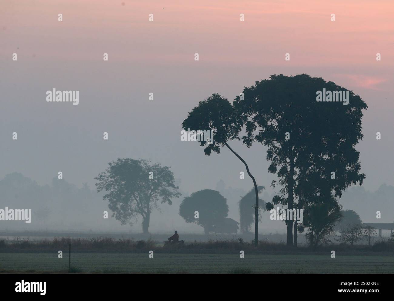 Nakhon Sawan, Thailand. 24th Dec, 2024. A villager rides a bicycle ...