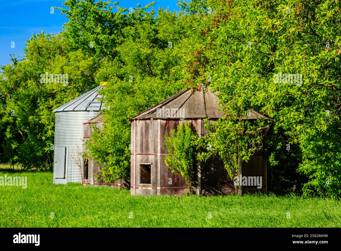 Two old barns sit in a grassy field. One is a silo and the other is a ...