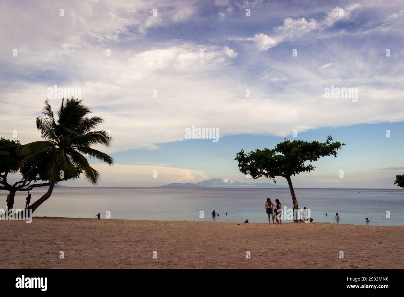 Palm trees along the beach on a pink sunset. Romblon, Philippines Stock ...