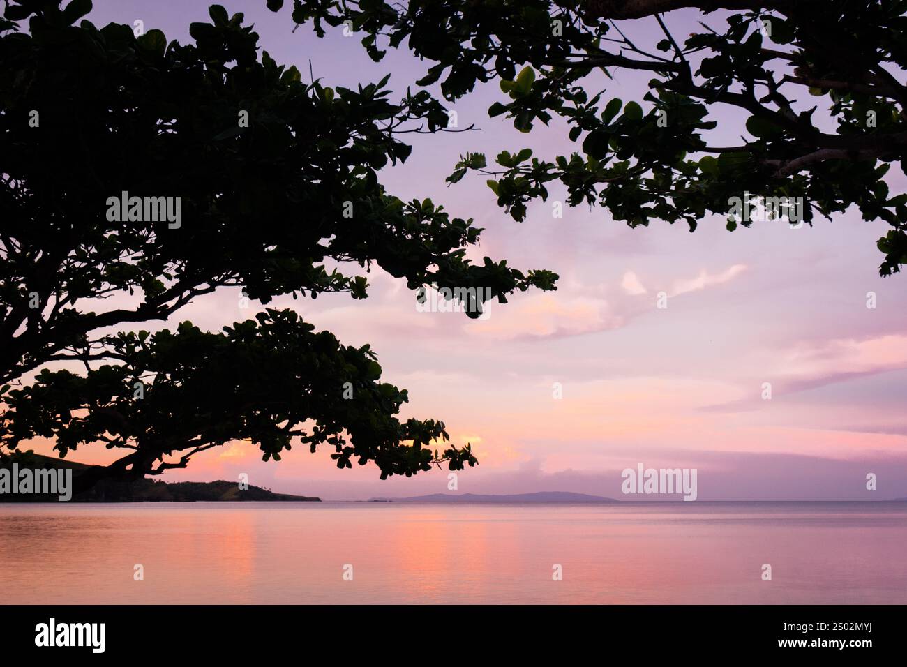 Trees along the beach on a pink sunset. Romblon, Philippines Stock ...