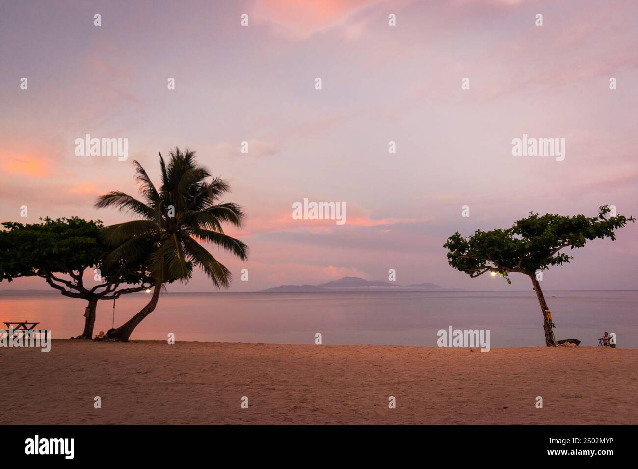 Palm trees along the beach on a pink sunset. Romblon, Philippines Stock ...