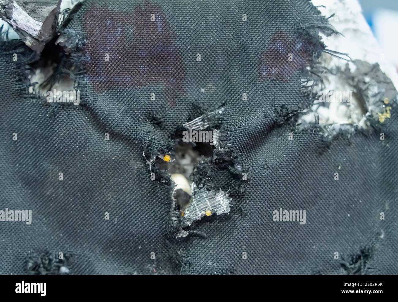 breakdown of the bullet-resistant plating used in tactical vests for ...