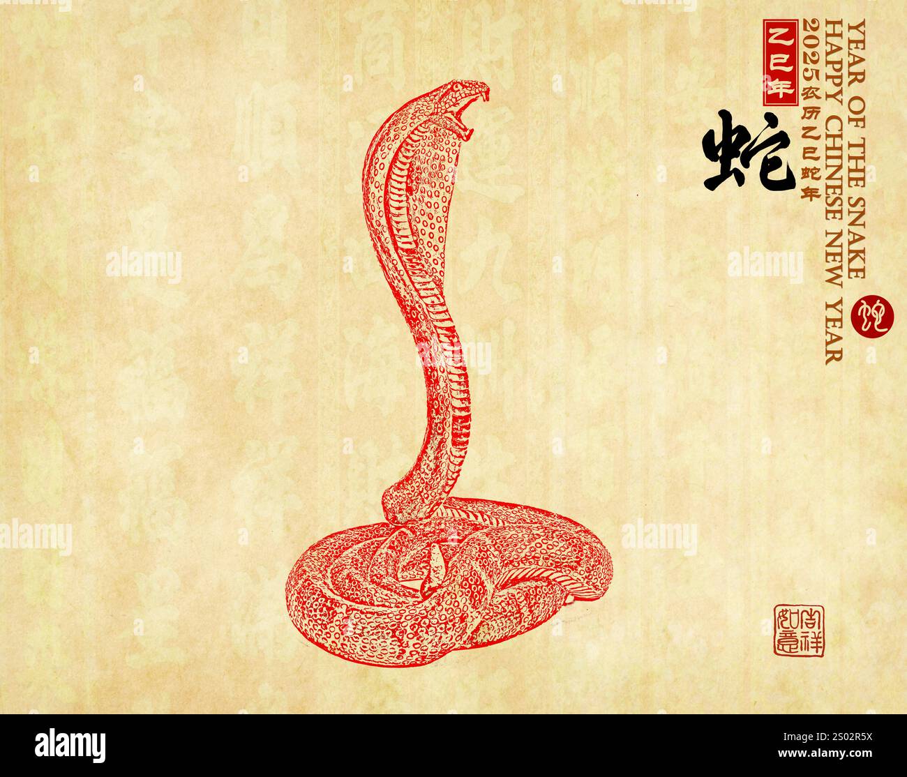 Year of the snake 2025 characteristic,rightside word and seal mean ...