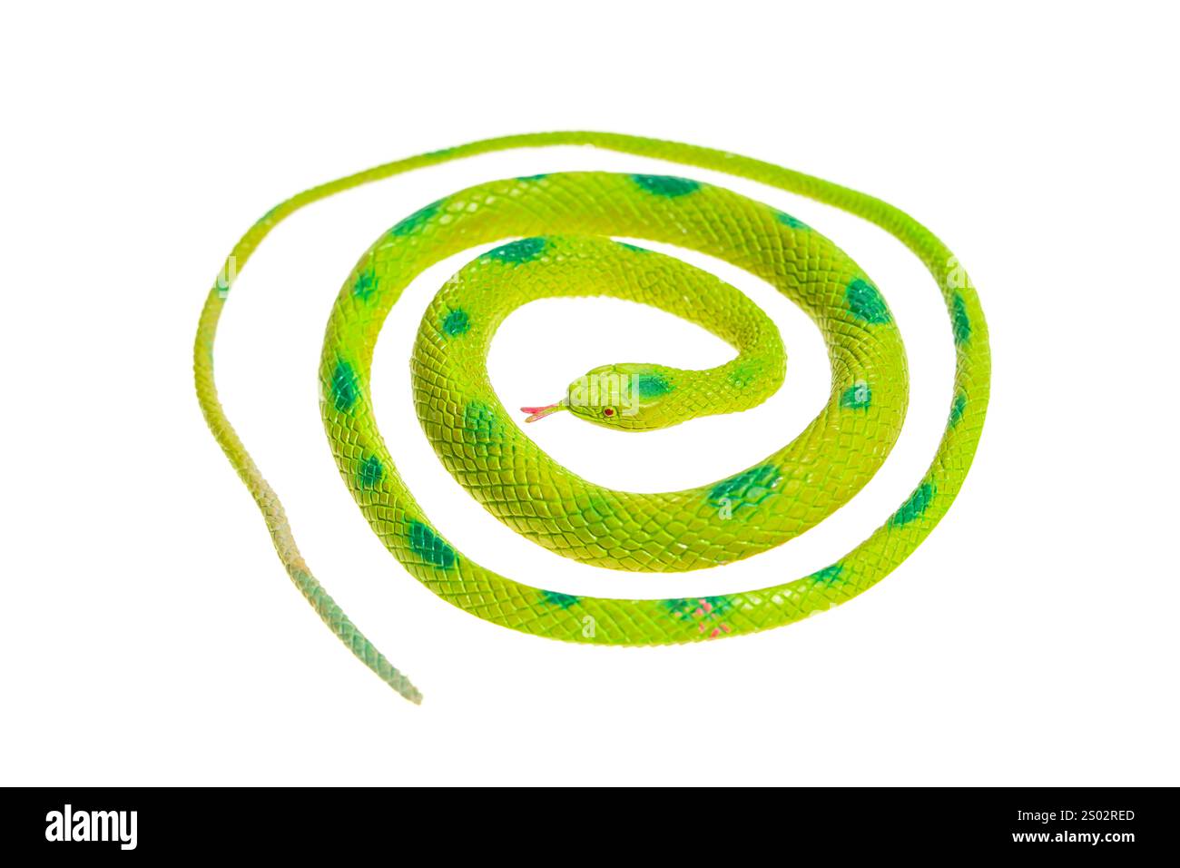 Fake green snake, rubber animal toy isolated Stock Photo - Alamy