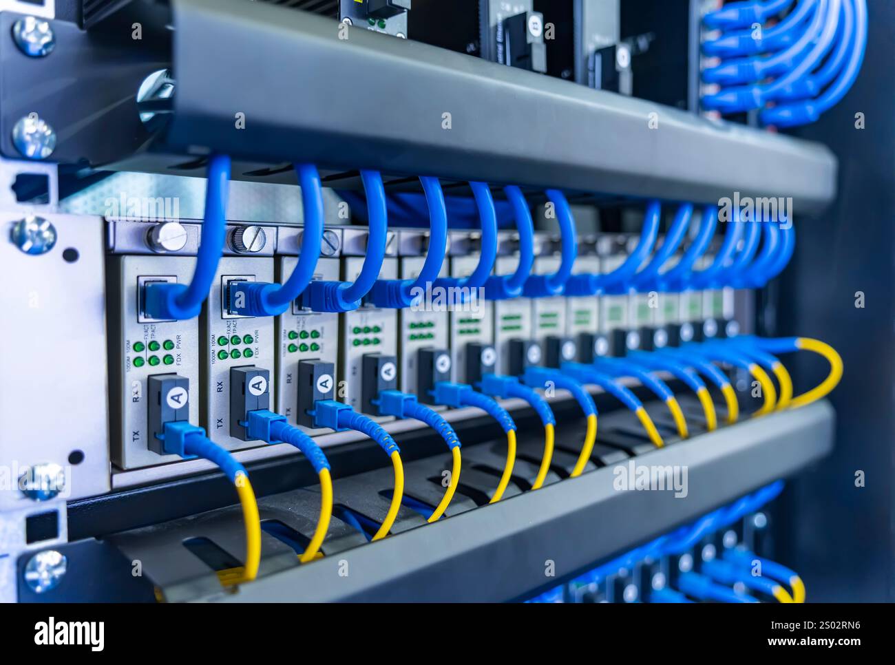 Fiber Optic cables connected to an optic ports and Network cables ...