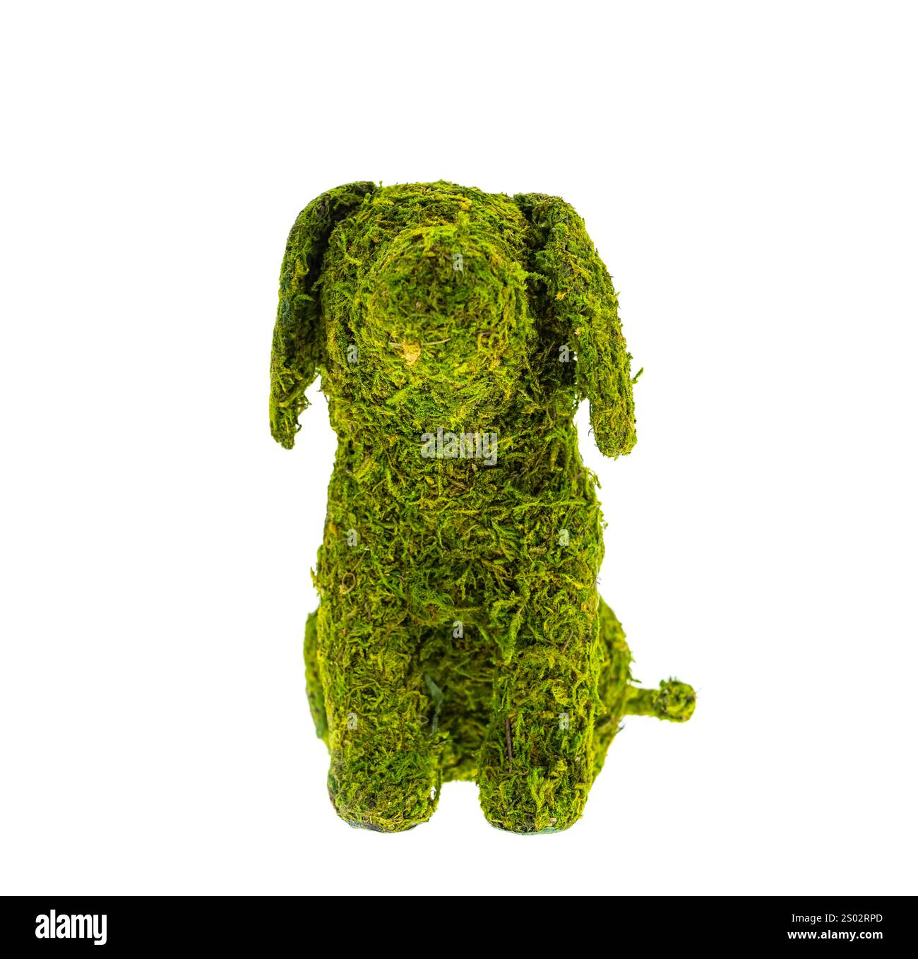 Animal in bushes Cut Out Stock Images & Pictures - Alamy