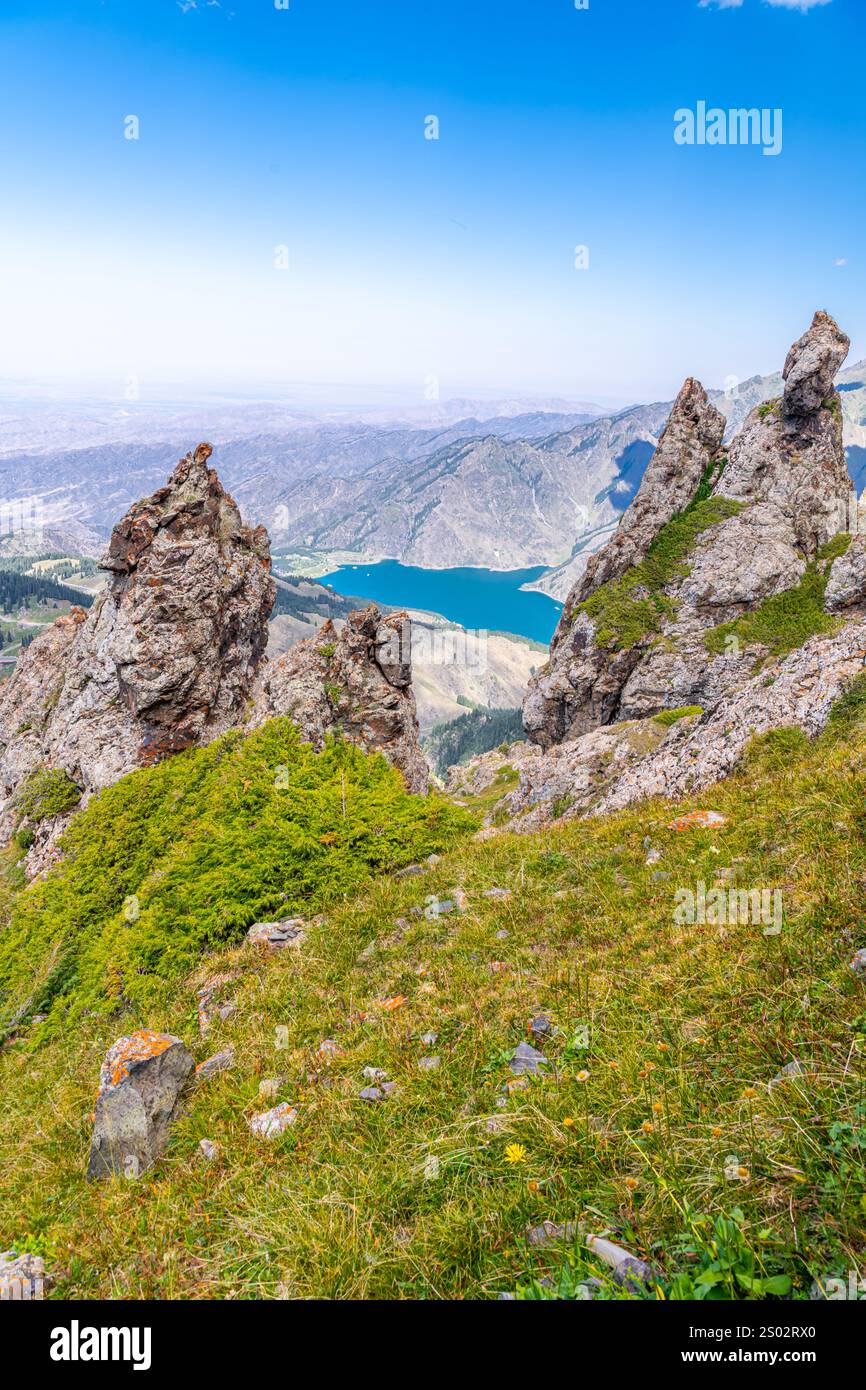 The flower on the foreground of the Heaven Lake of Tian Shan, a World ...