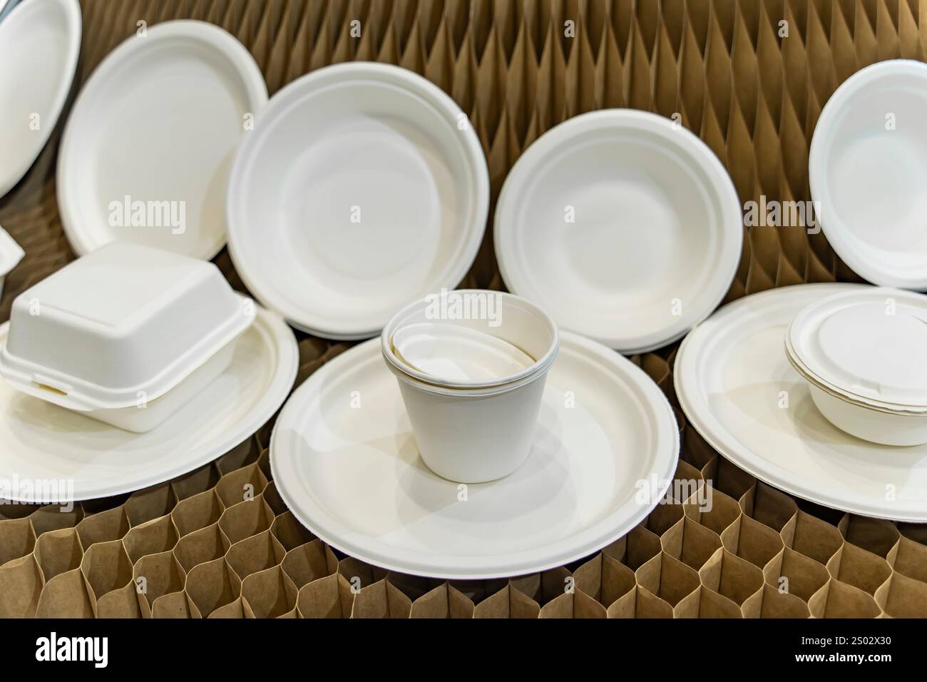 Set of unbleached plant fiber food box and paper cup. Natural fiber eco ...