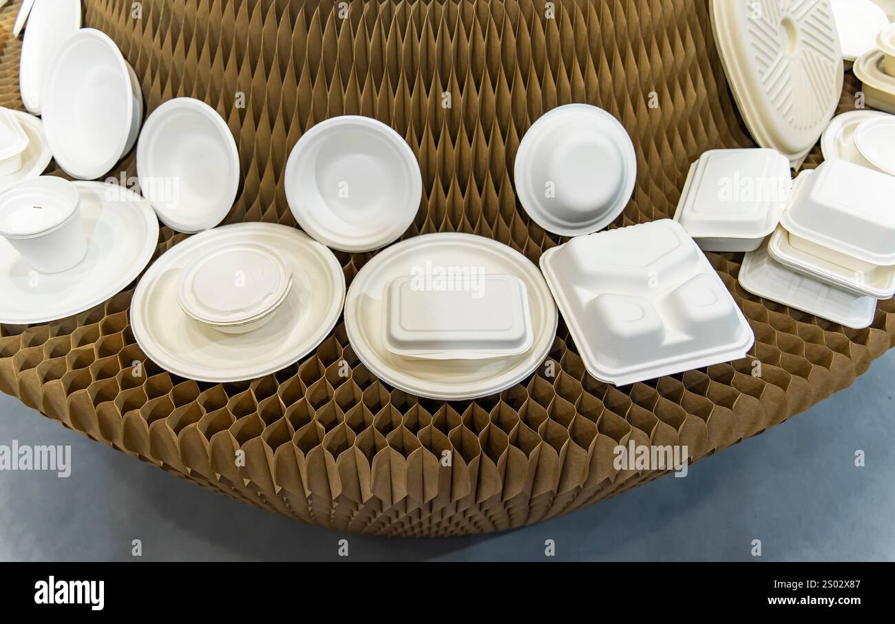 Set of unbleached plant fiber food box and paper cup. Natural fiber eco ...