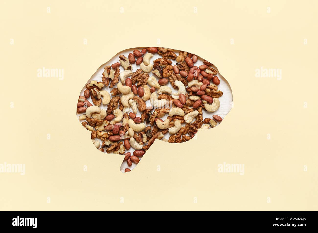 Cut-out beige paper in shape of human brain with different nuts Stock ...