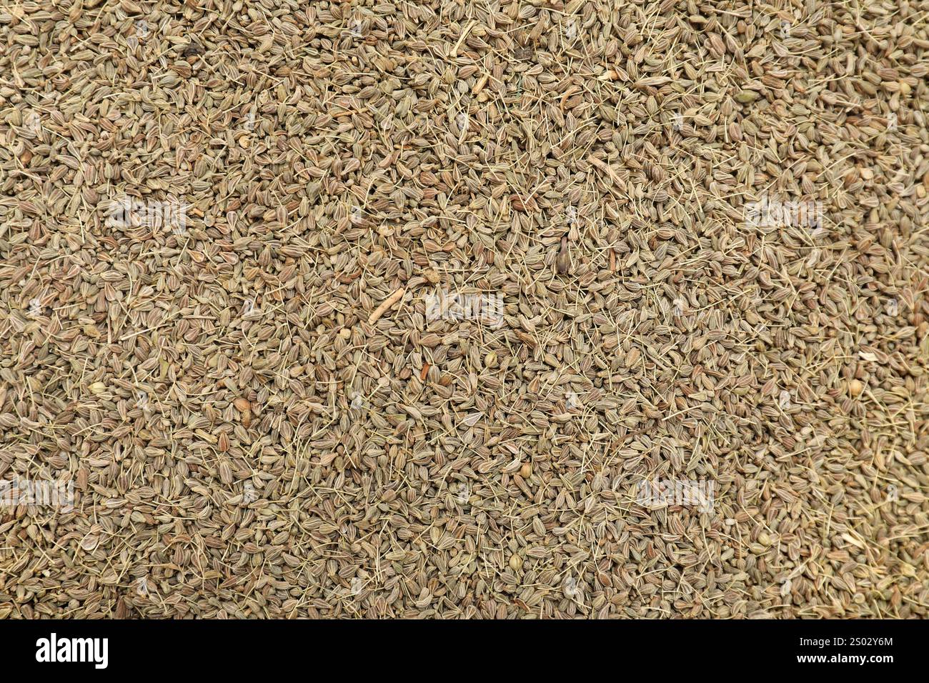 Dried anise seeds as background Stock Photo - Alamy
