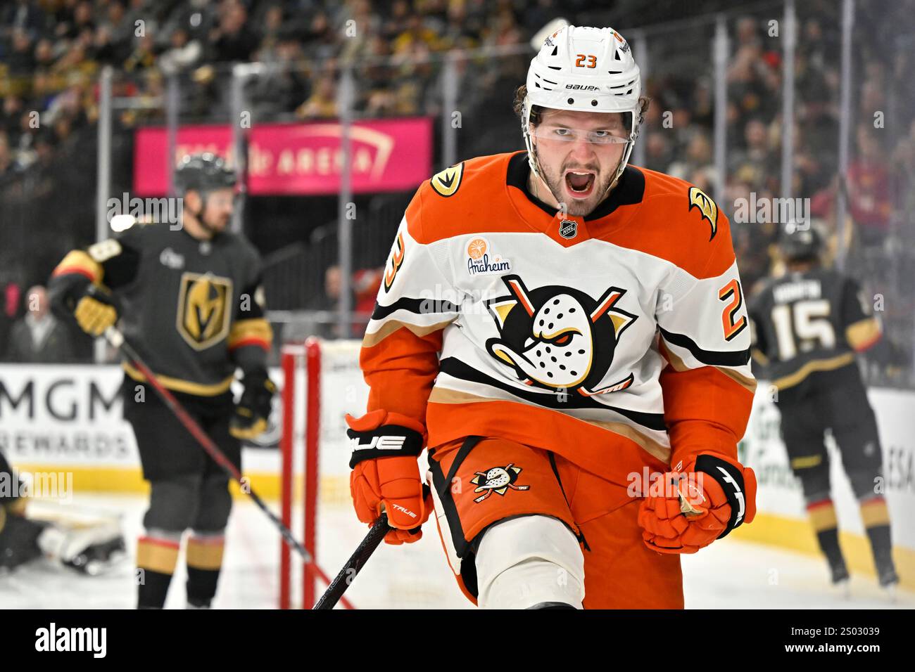 Anaheim Ducks center Mason McTavish (23) reacts after a goal against ...
