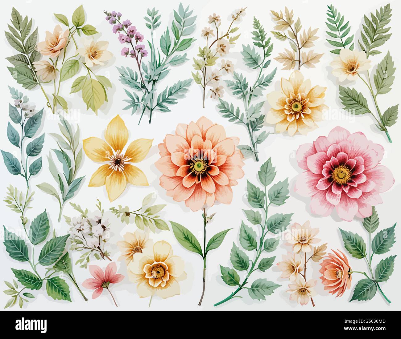 Various shapes and forms of green leaves set Stock Vector Image & Art ...