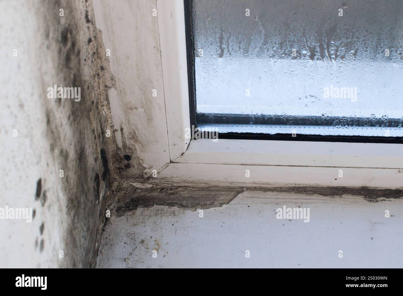 Mold on plastic windows. due to the high humidity of the window sill ...