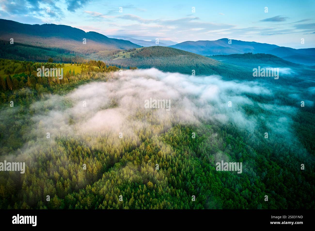 Stunning aerial view of dense forest blanketed in morning mist, with ...