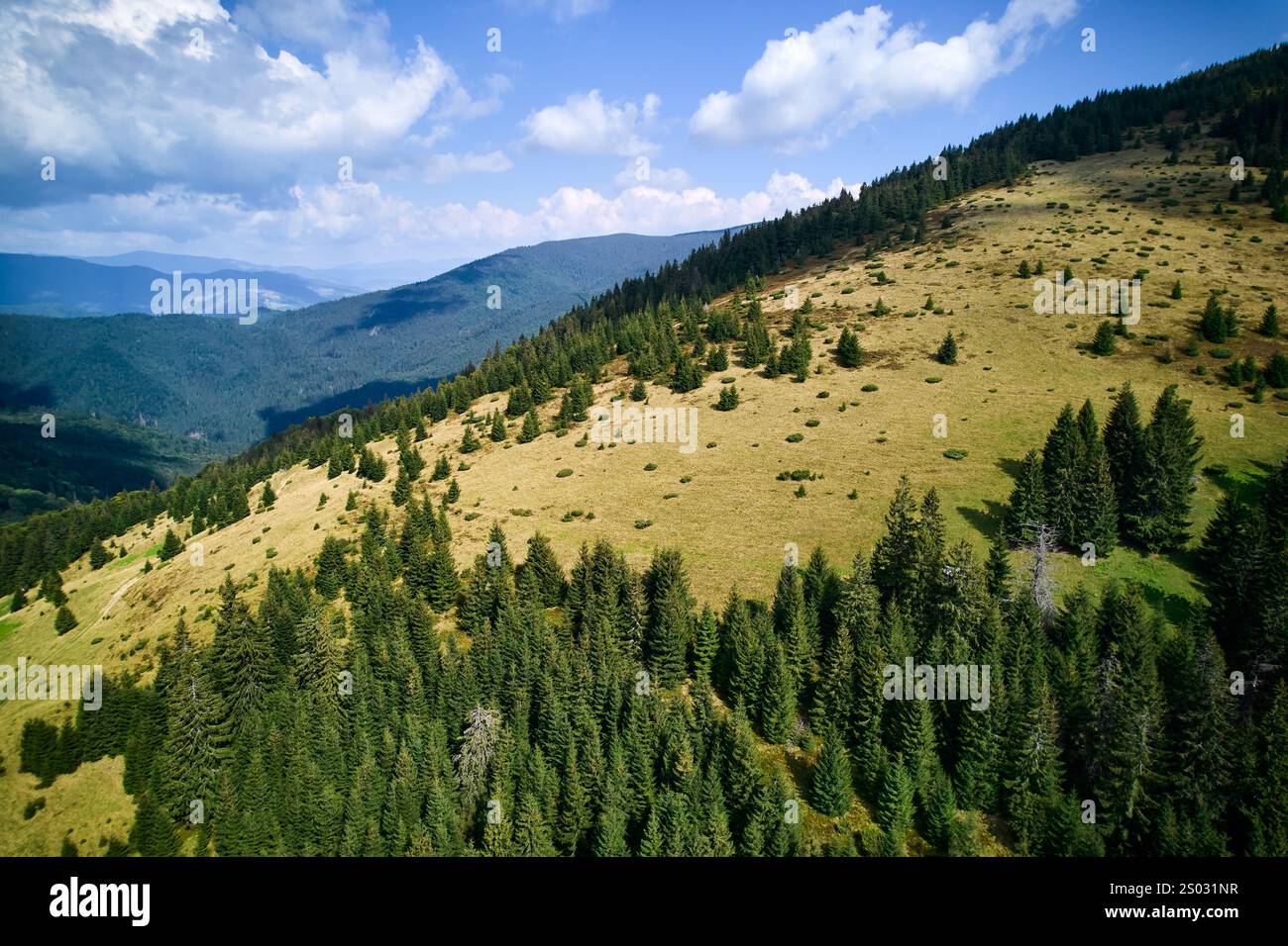 Aerial view of hilly landscape on bright day, with paths winding ...