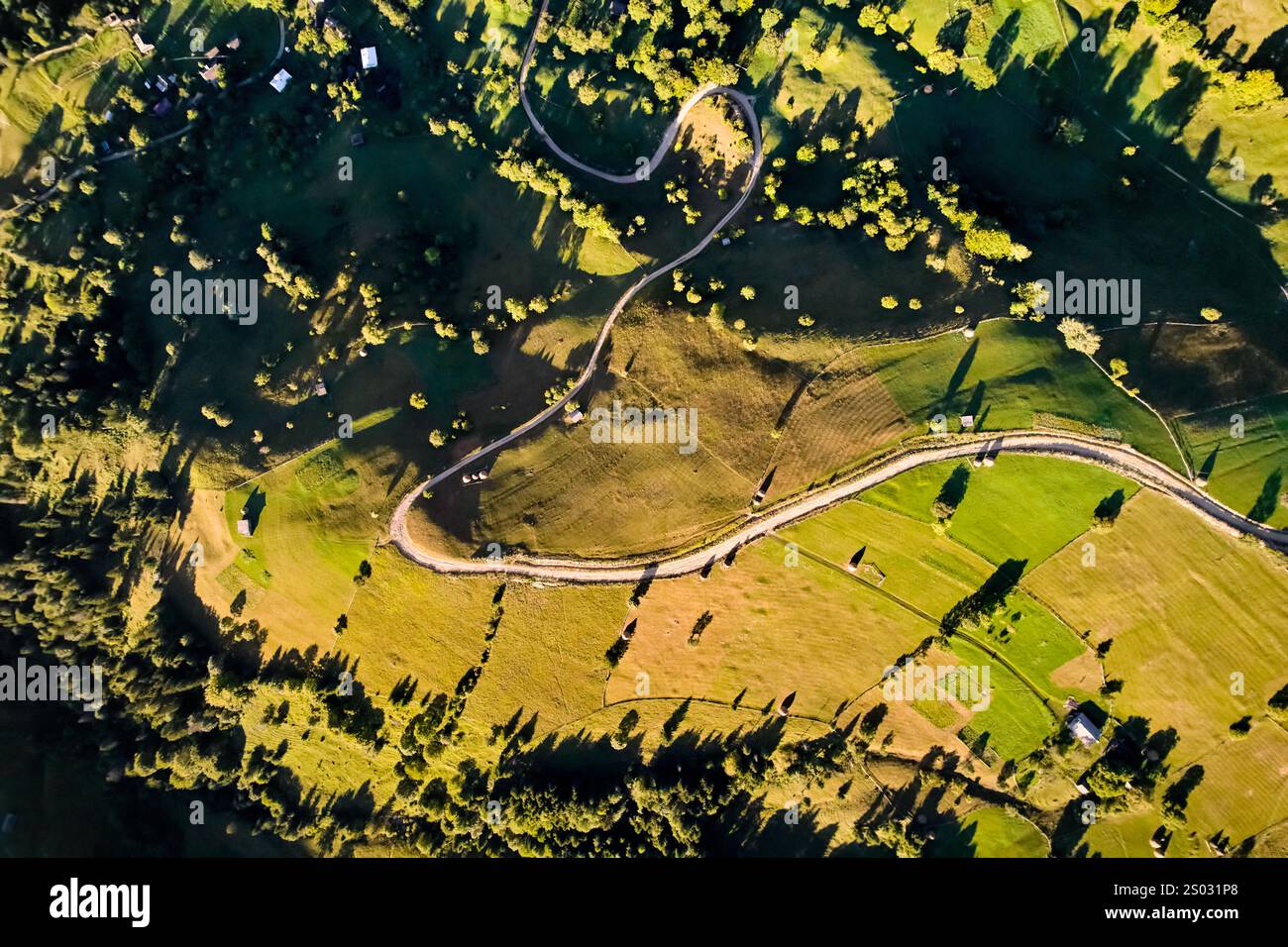 Top-down aerial view of picturesque rural landscape bathed in golden ...