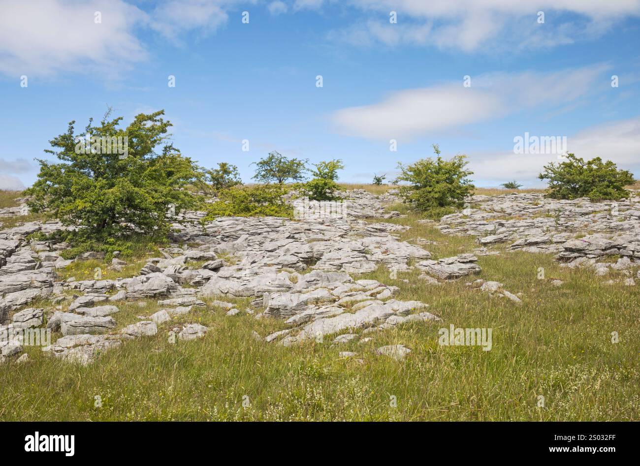 Limestone Pavement, Ogof Ffynnon Ddu National Nature Reserve, Penwyllt ...