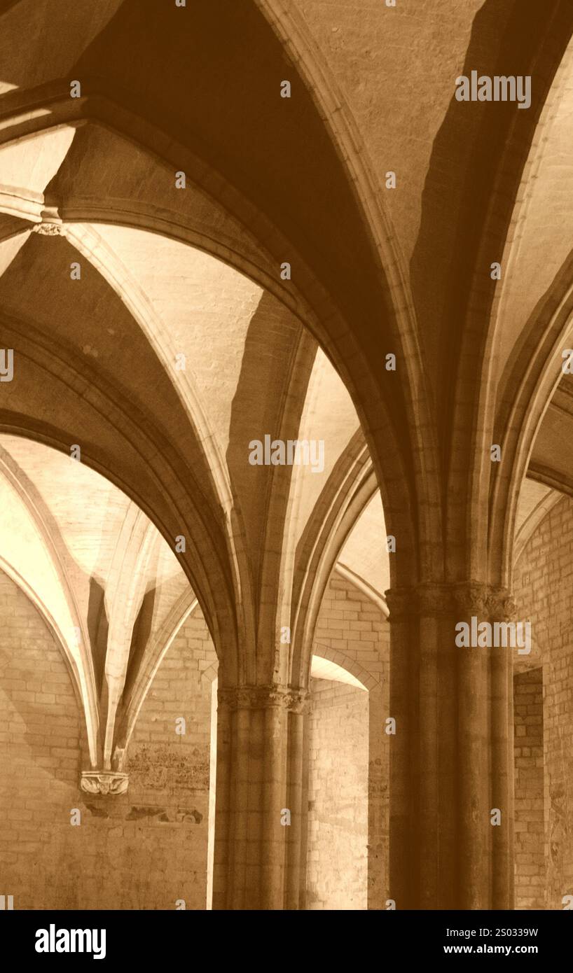 Intricate gothic arches showcase the historic architecture of an ...