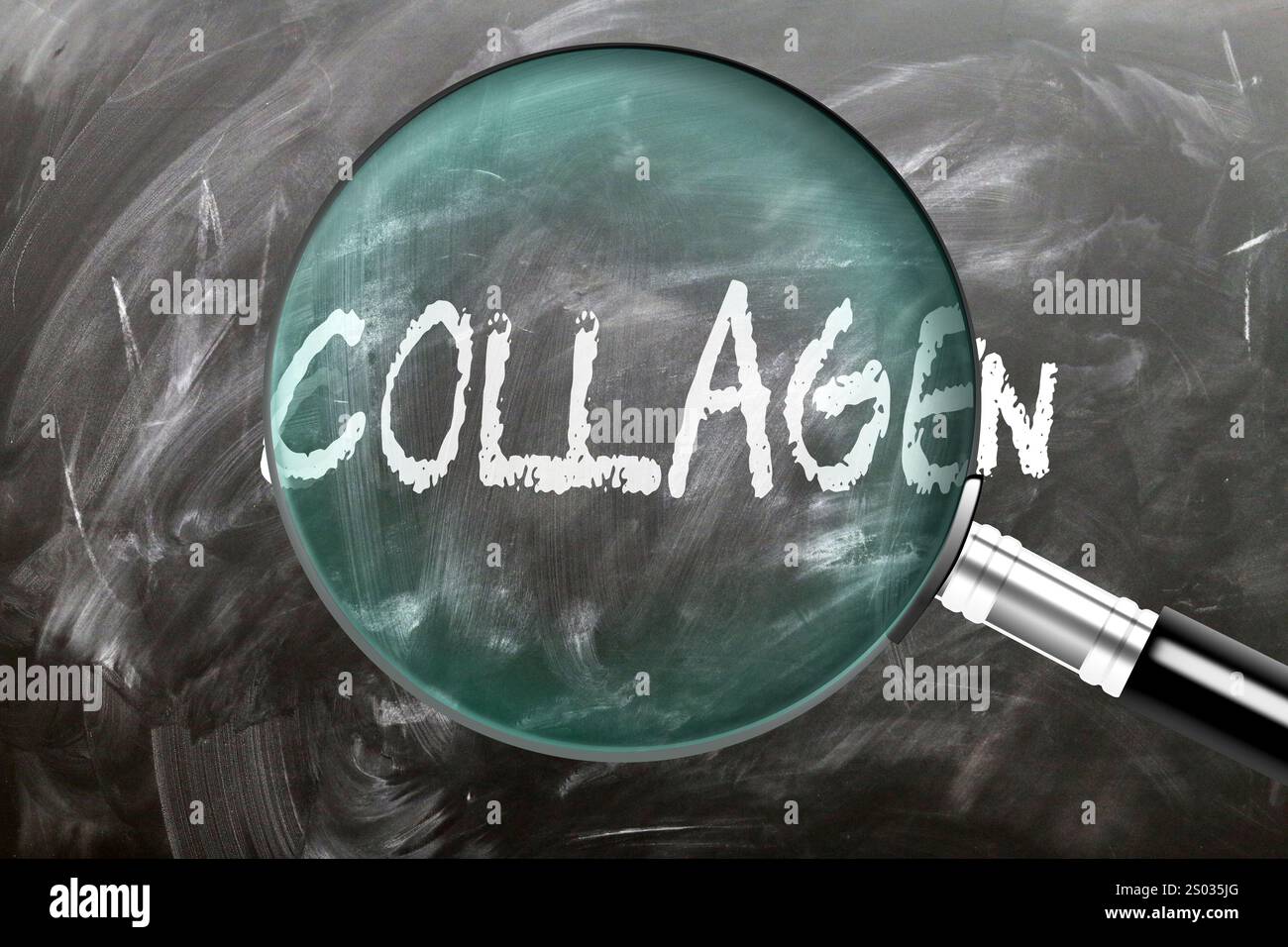 Collagen - learn, study and inspect it. Taking a closer look at ...