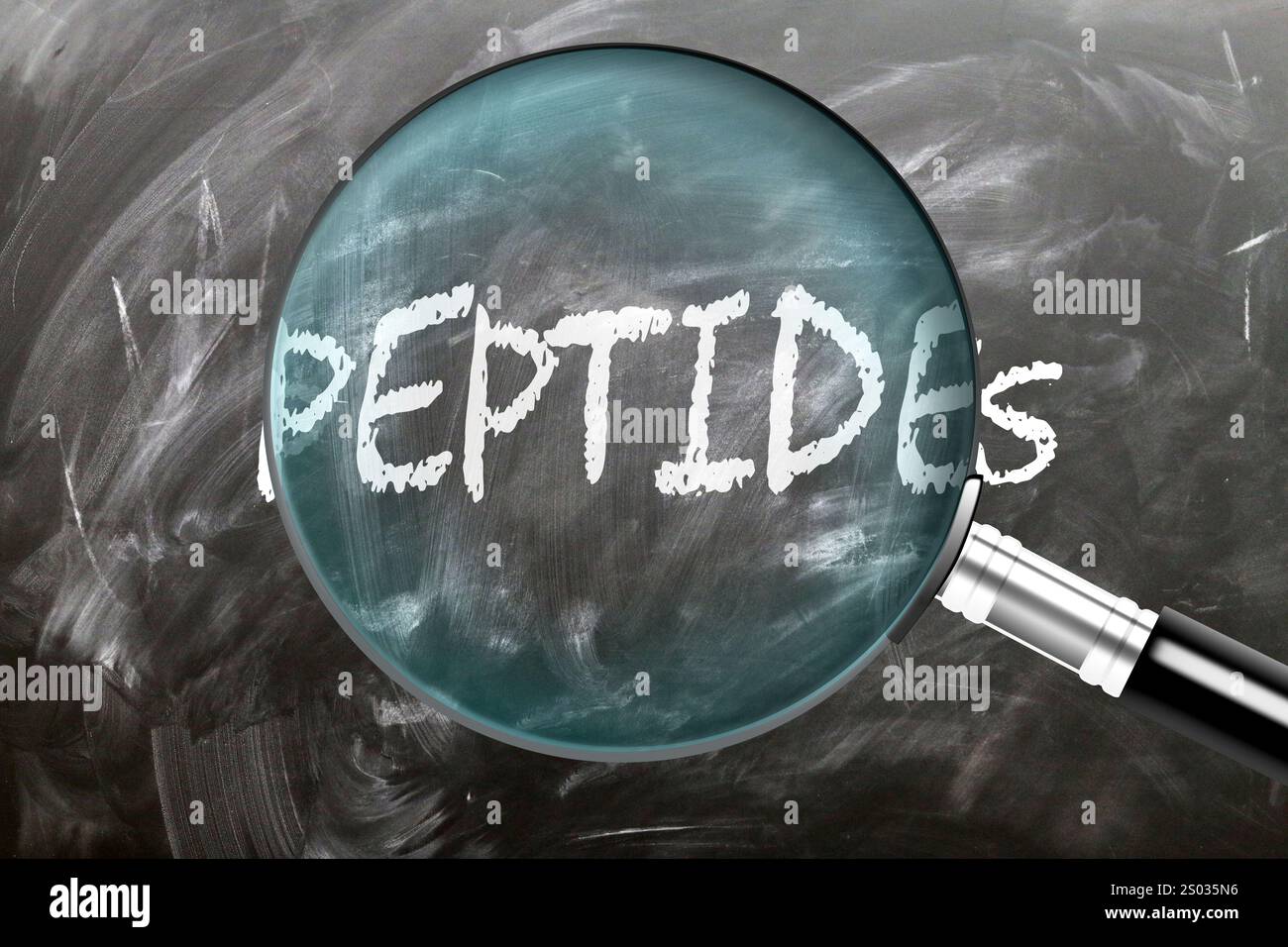 Peptides - learn, study and inspect it. Taking a closer look at ...