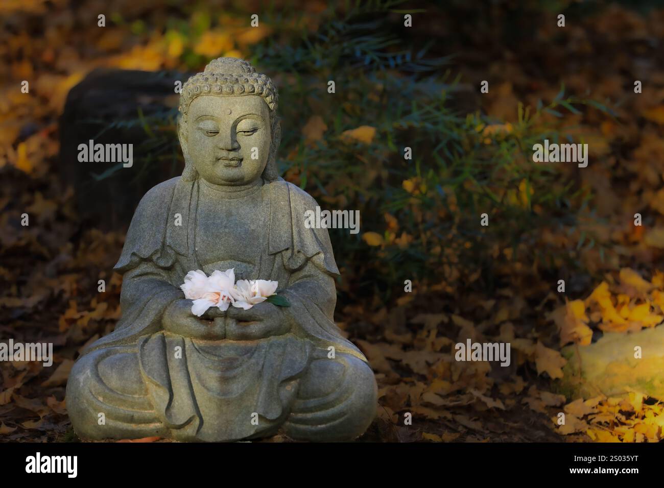 The perfect shot for your next project." "Versatile, professional, and ...