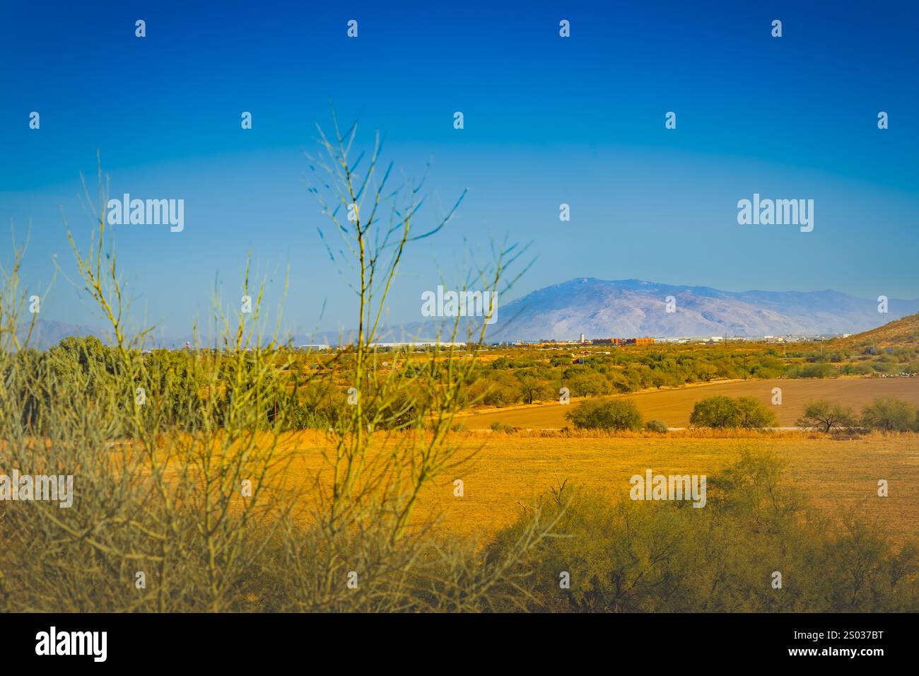 Downtown tucson az hi-res stock photography and images - Alamy