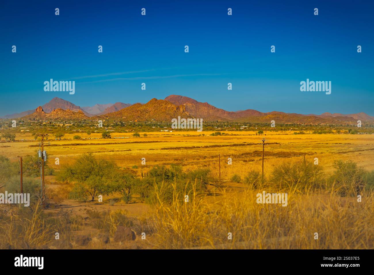 Tucson AZ mountain scape December 2024 Stock Photo - Alamy