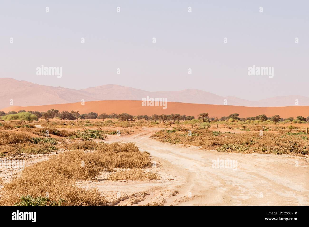 Impression of the massive sanddunes that comprise the Sossusvlei of ...