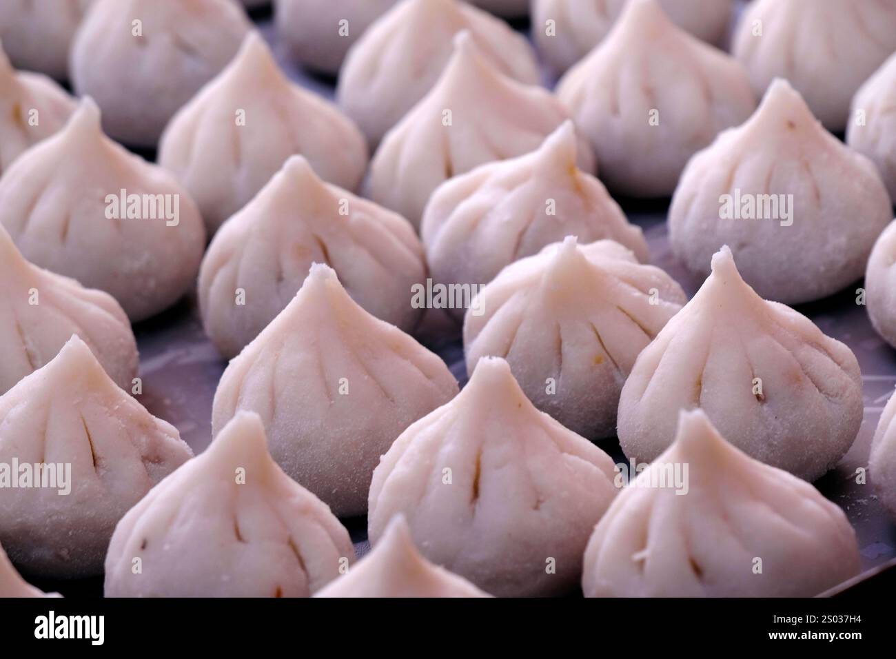 Woman making sweet rice modak stuffed with grated coconut and jaggery ...