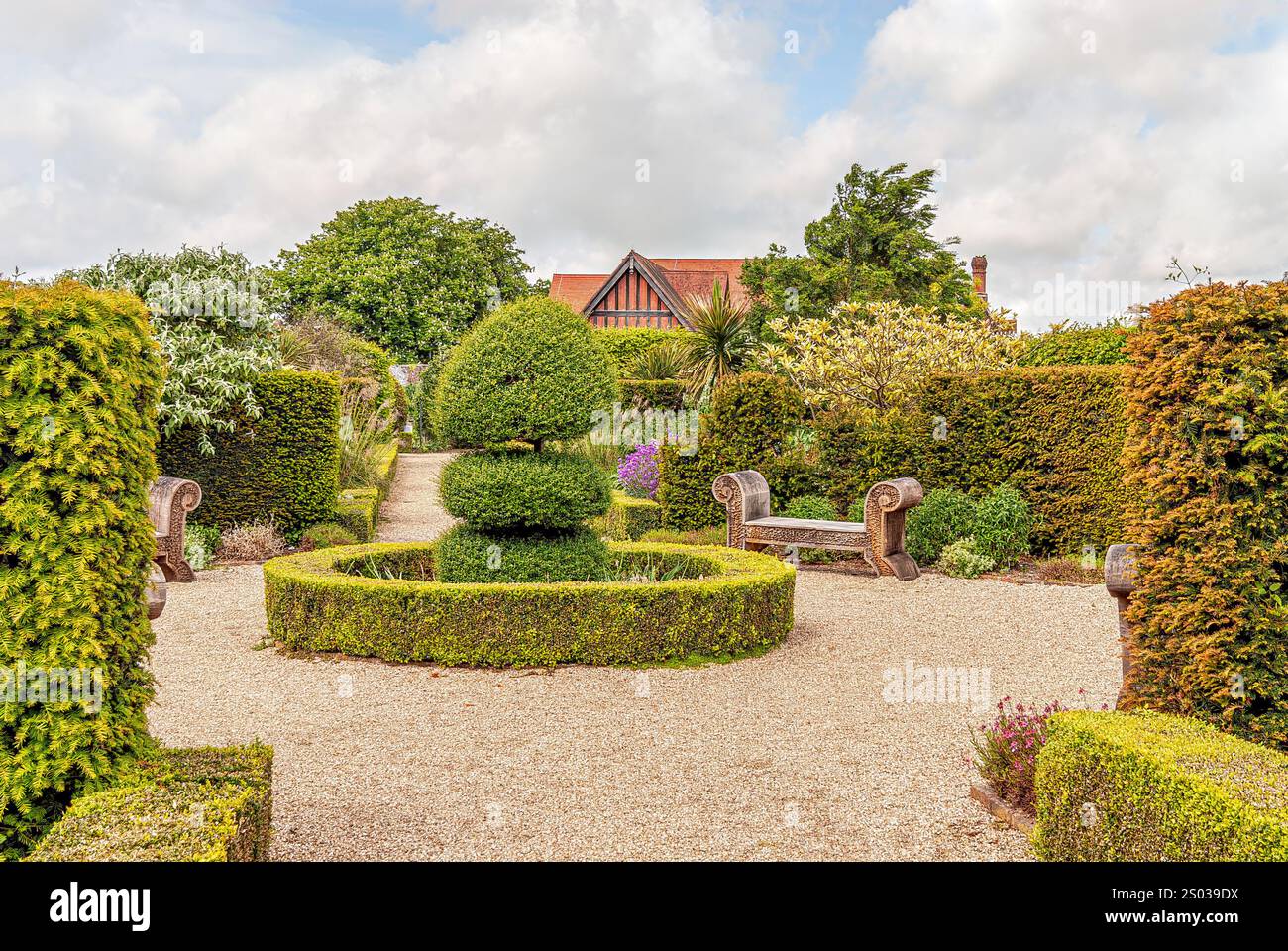 Shaped boxtrees at the Collector Earls Garden at Arundel Castle, West ...