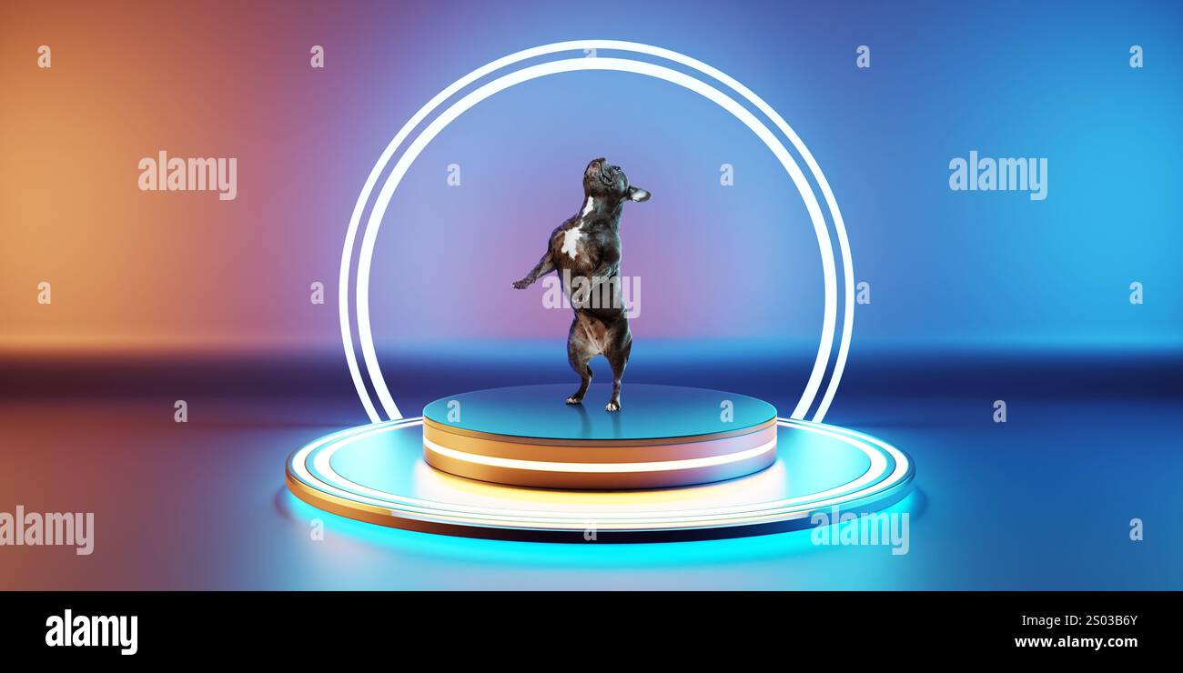 French Bulldog standing on hind legs on circular 3D platform ...
