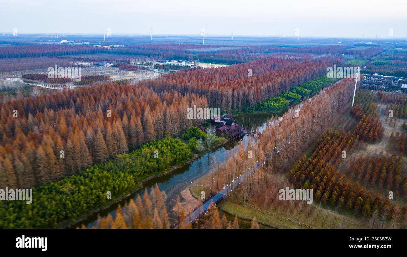 Aerial photo shows the winter scenery of Huanghai Forest Park in ...