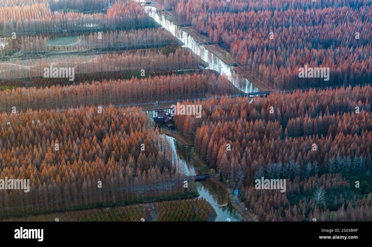 Aerial photo shows the winter scenery of Huanghai Forest Park in ...